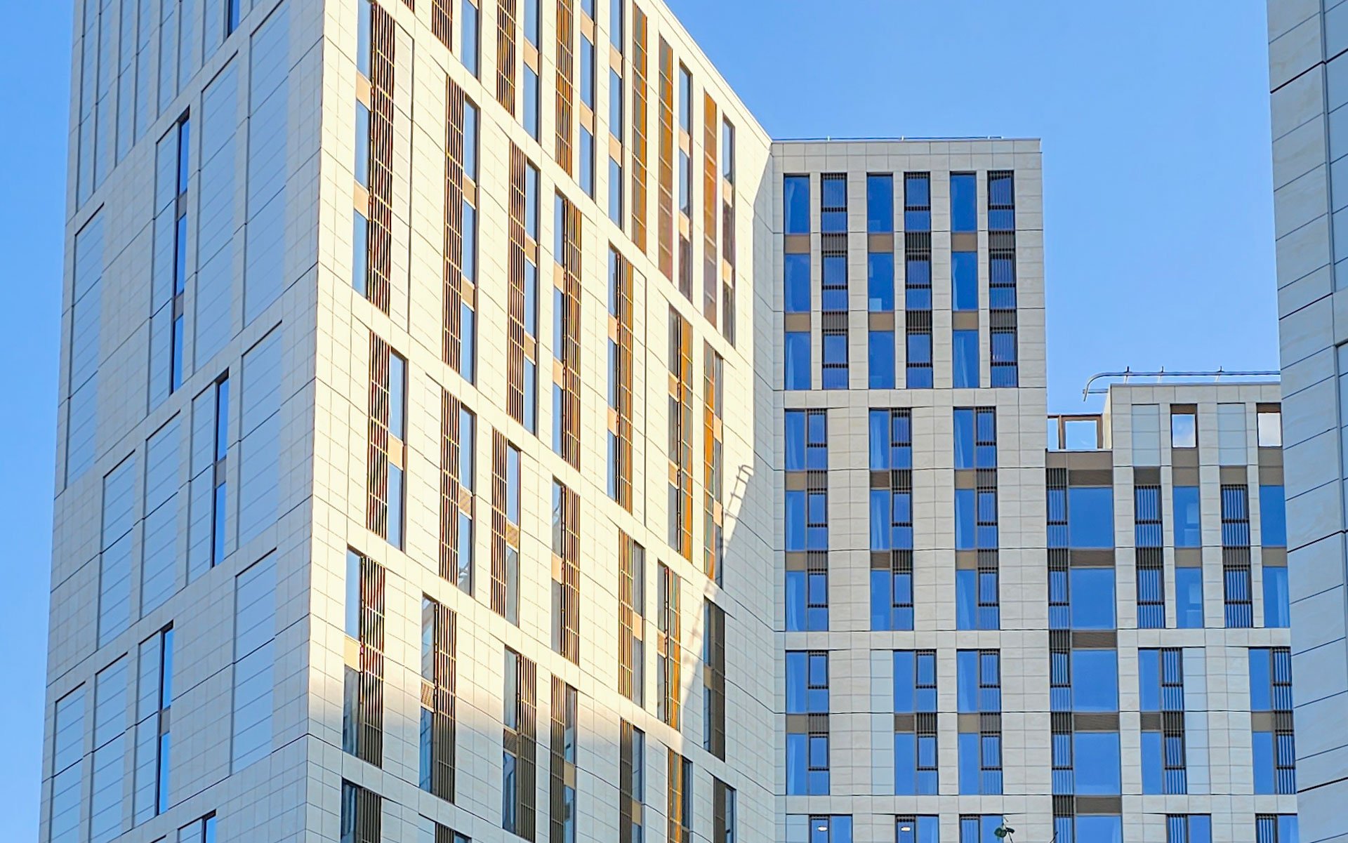 Carlton Hill | HS Hansen